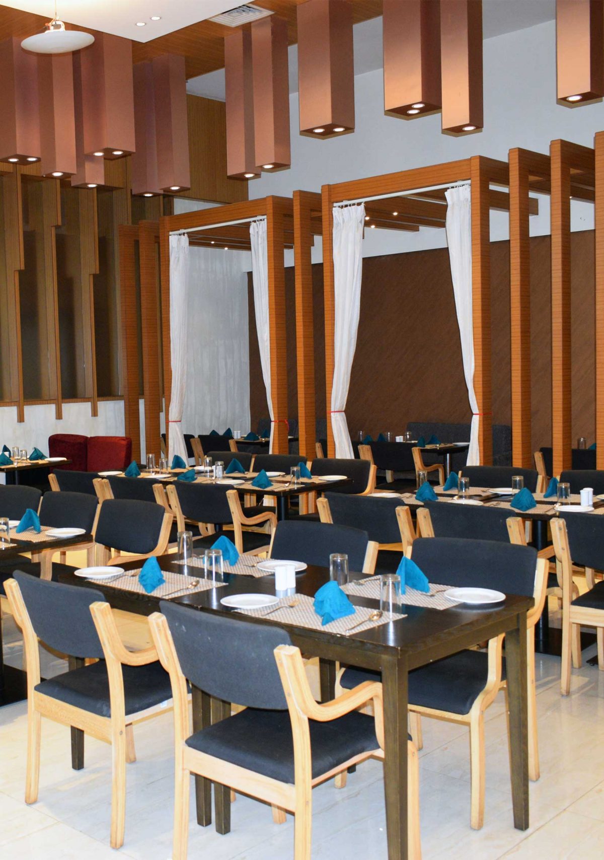 Tanaya Restaurant - Pearl Tree Hotels & Resorts | Purulia, West Bengal
